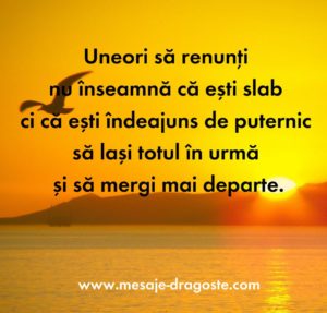 Mesaje de adio. Mesaje de la revedere