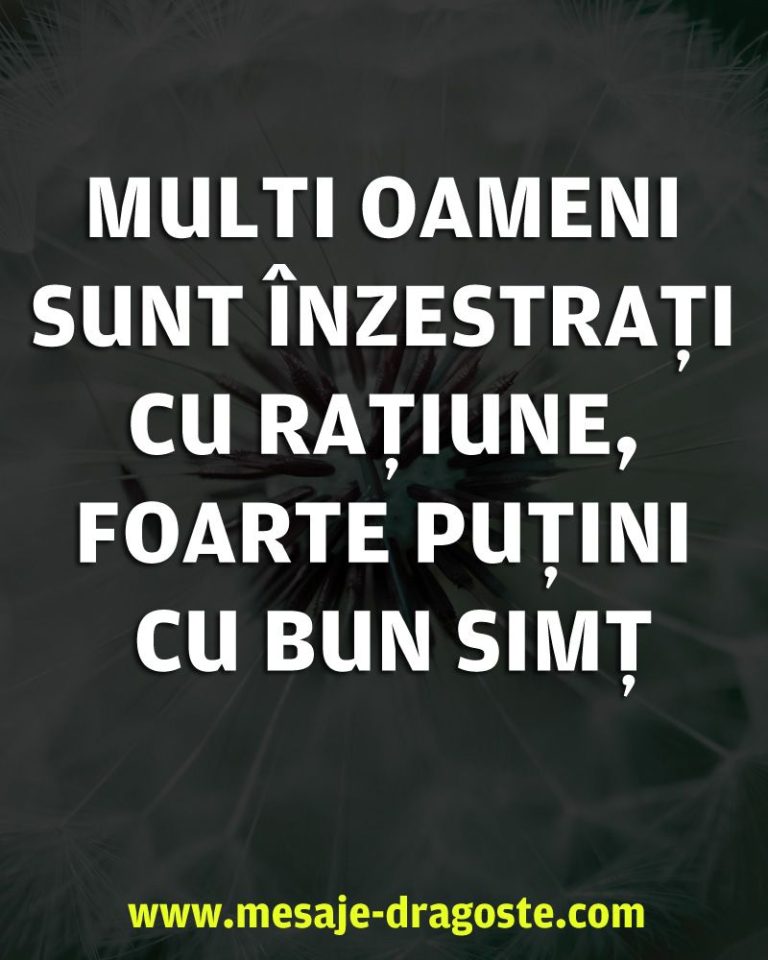 15 Citate celebre despre citit carti